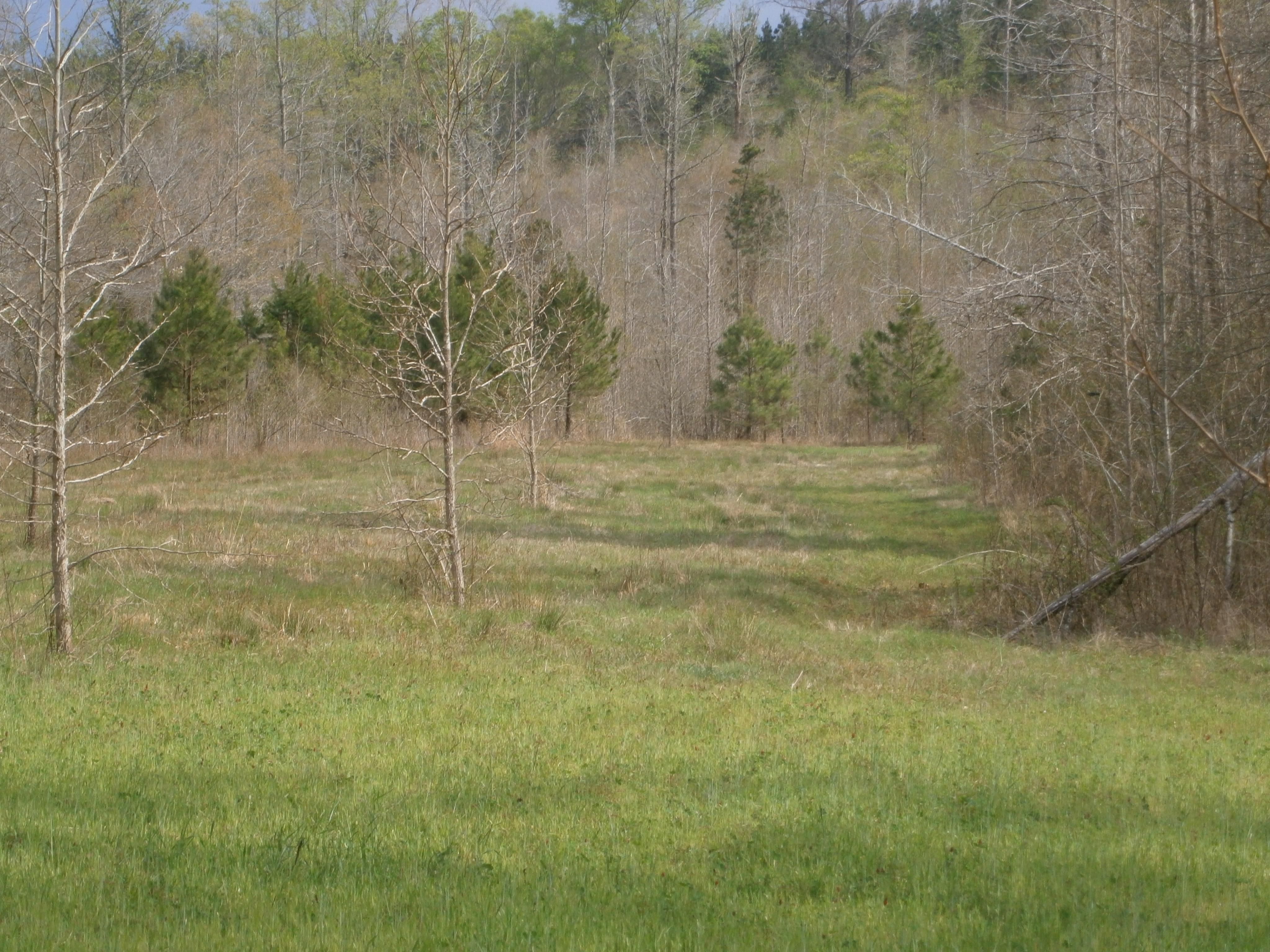 130 Acres, New Albany, MS 38652 | Land and Farm