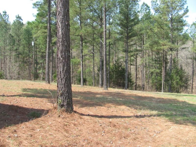 353 Bombing Range Rd., Union, SC 29379 | Land and Farm