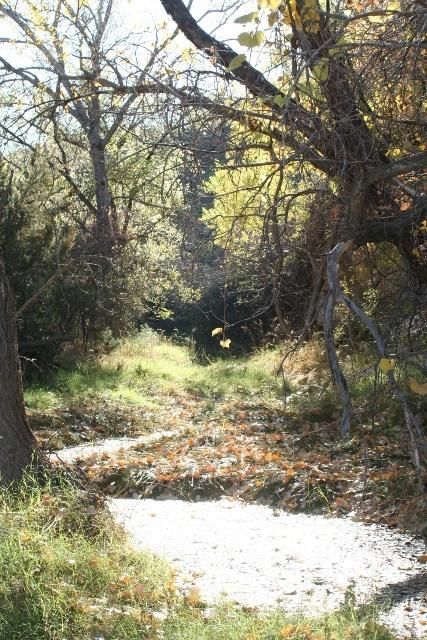 3047 FM 97, Flomot, TX 79234 | Land and Farm