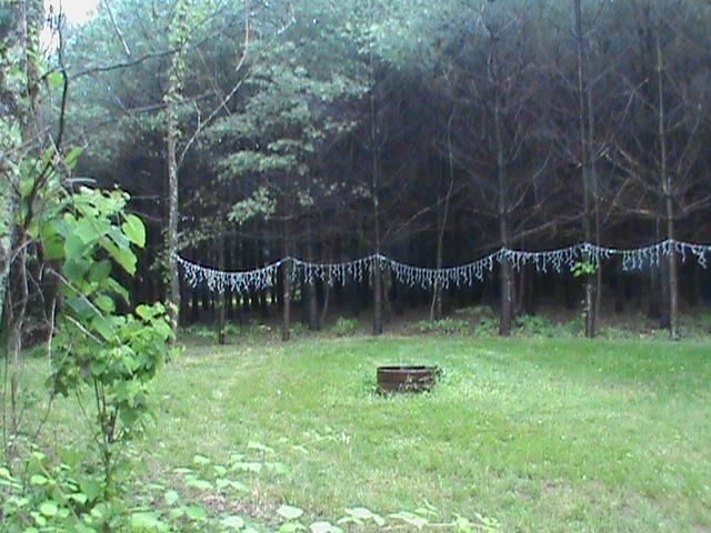 Engle Road, Vanceburg, KY 41179 | Land and Farm