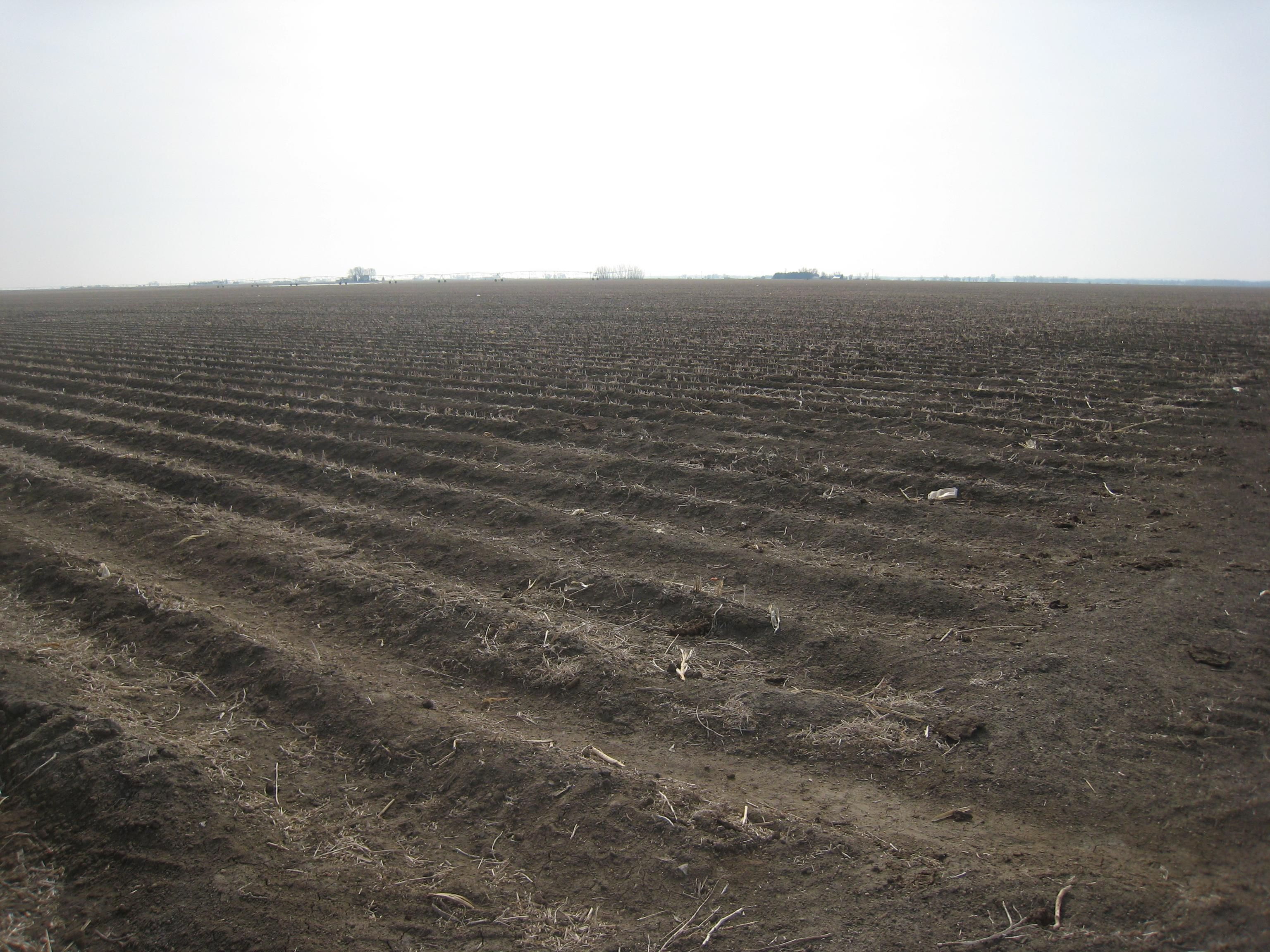 65 acres in Gothenburg, NE, 69138 | Land and Farm