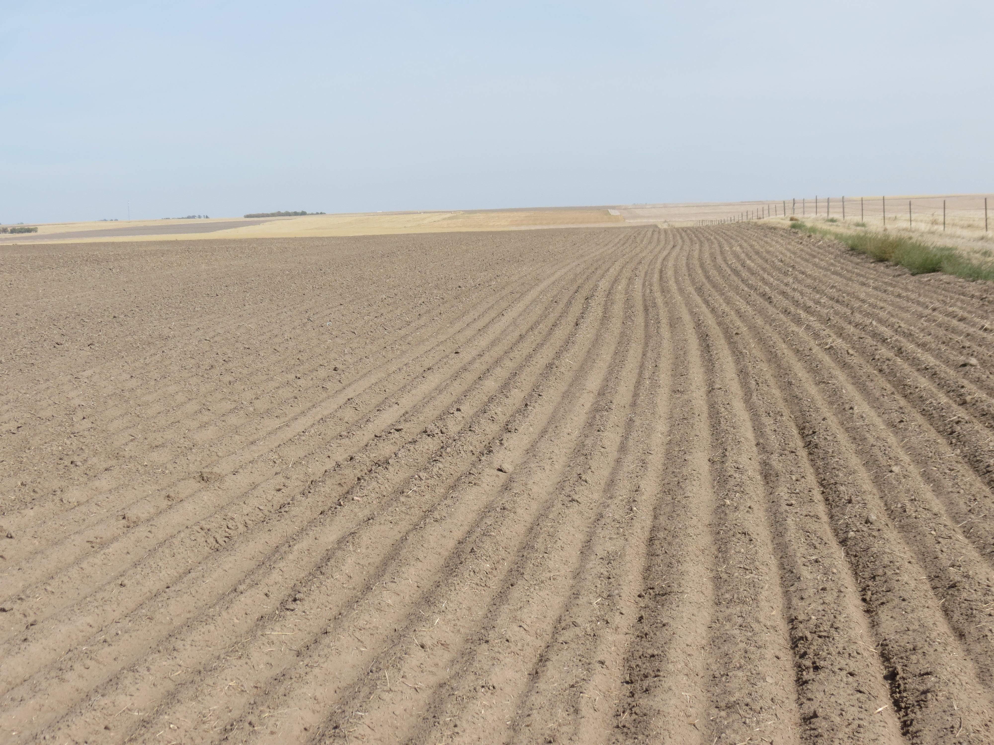 164.5 acres in Gurley, NE, 69141 | Land and Farm