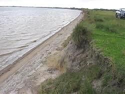 256 Acres, CR 303, Port Alto, TX 77982 | Land and Farm