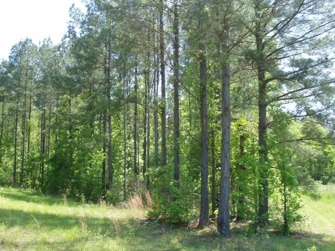 Springhill Road, Ramer, AL 36069 | Land and Farm