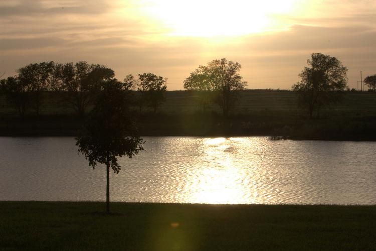 1133 Box Ranch Rd, Moody, TX 76557 | Land and Farm