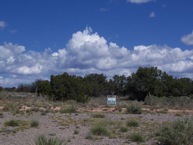 40 Acres, Lot 223 Windmill Ranches, Carrizozo, NM 88301 | Land and Farm
