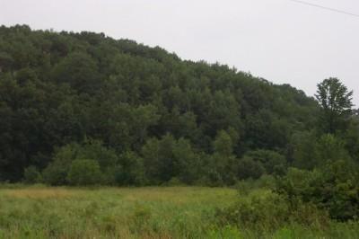 588 Barron Dunn, Prairie Farm, WI 54762 | Land and Farm