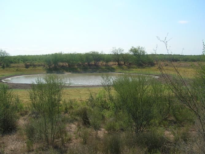 344 acres in Rio Bravo, TX, 78043 | Land and Farm