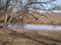 461.48 acres in McCaulley, TX, 79534 | Land and Farm