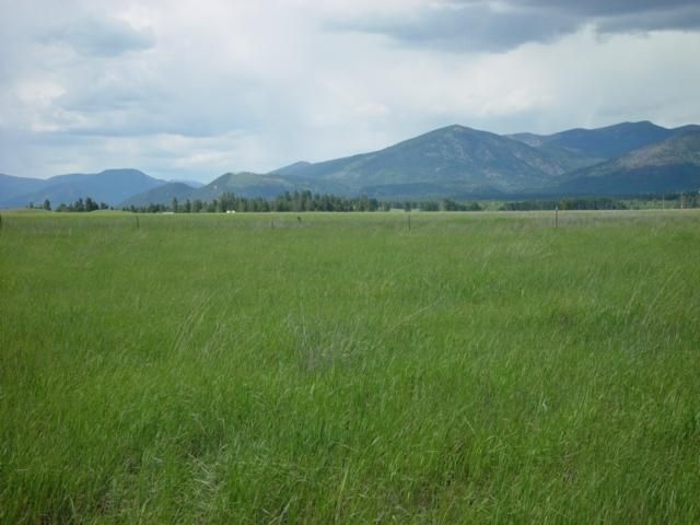 Saragus Lane, Ovando, MT 59854 | Land and Farm