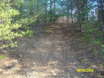 Sheepskin/Bandy Branch Road, Sandy Hook, KY 41171 | Land and Farm