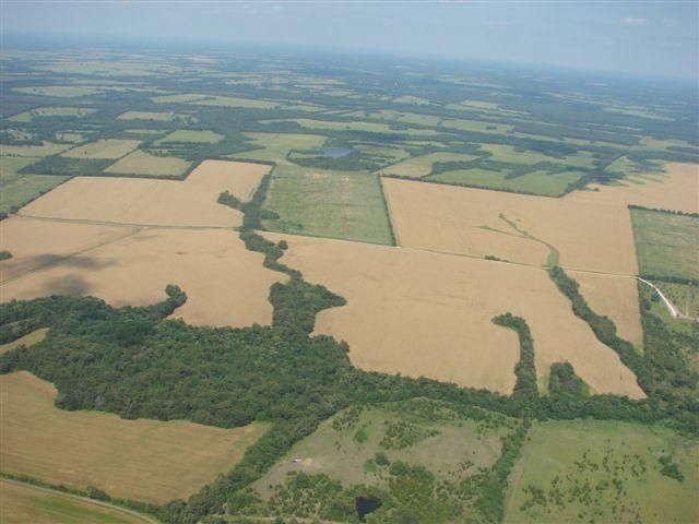 FM 3390, Clarksville, TX 75426 | Land and Farm