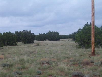 247 Windmill Ranches, Carrizozo, NM 88301 | Land and Farm