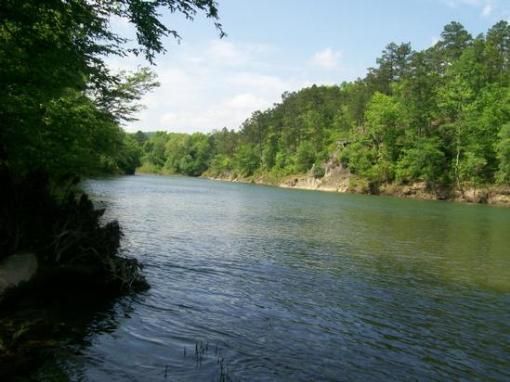 62 Acres, Pine Ridge, AR 71953 | Land and Farm