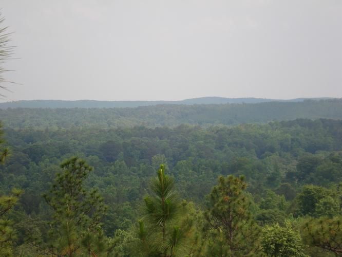 155 Acres, Sterrett, AL 35147 | Land and Farm