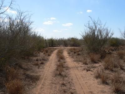 312 acres in Benavides, TX, | Land and Farm