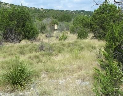 Red Bluff Creek West Pasture, Rocksprings, TX 78880 | Land and Farm