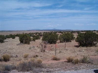 320 Windmill Ranches, Carrizozo, NM 88301 | Land and Farm