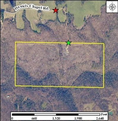 81 acres in Morgan, AL, | Land and Farm