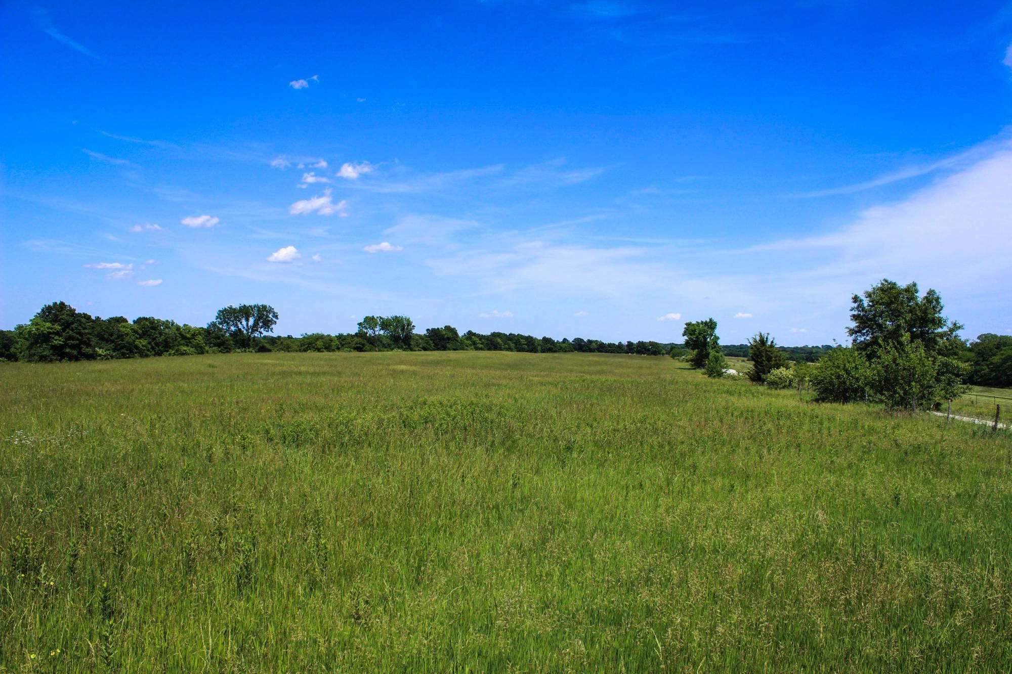 SE Apache Road, Polo, MO | Land and Farm