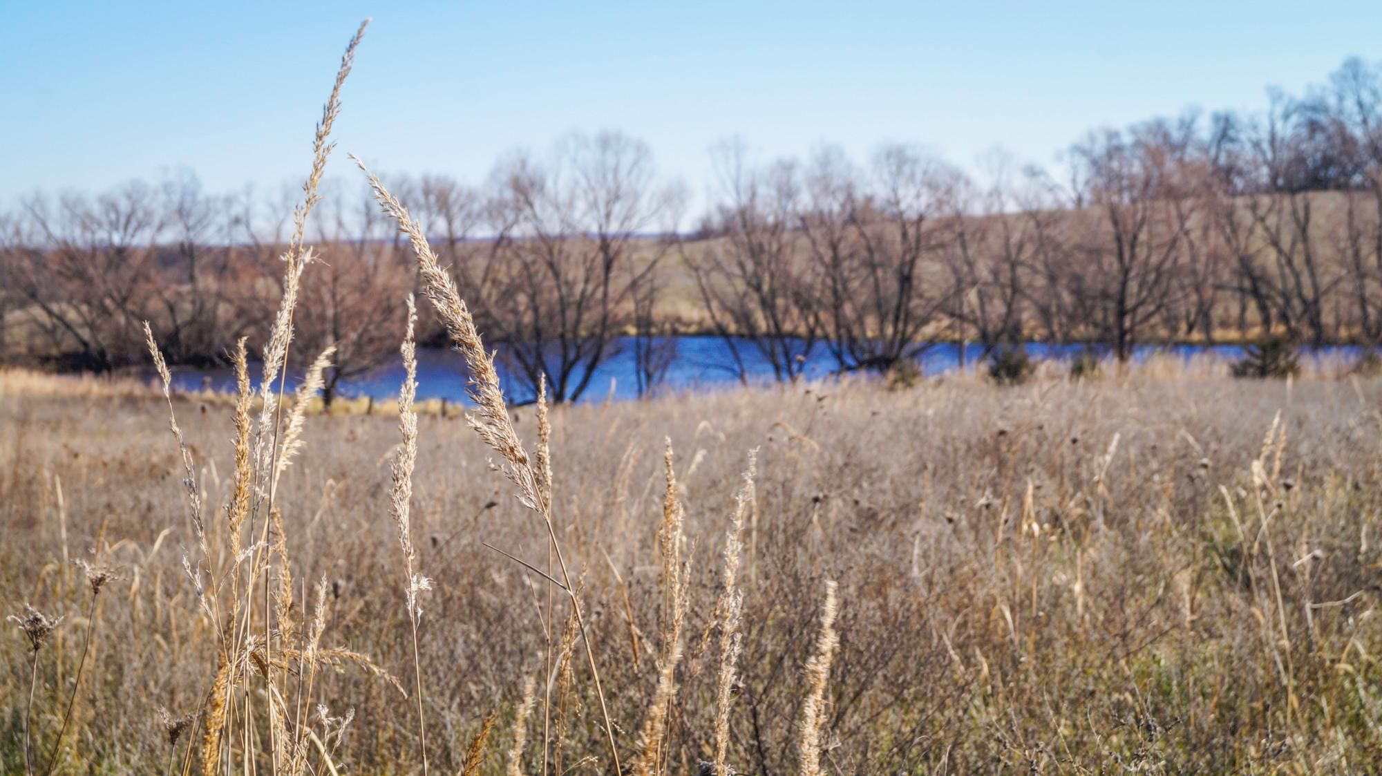 TBD State Route Y, Allendale, MO | Land and Farm