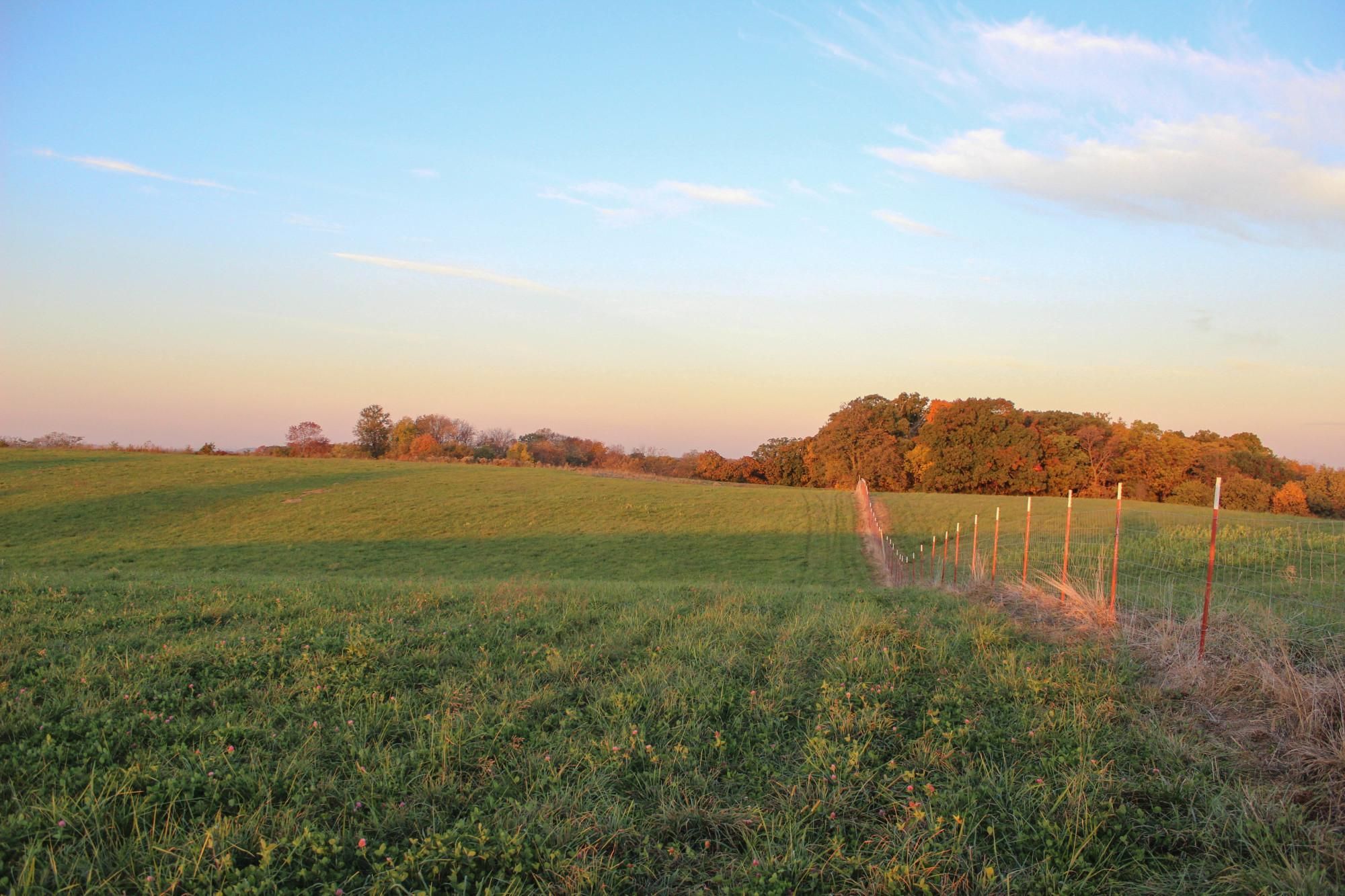 TBD Perry Road, Orrick, MO | Land and Farm