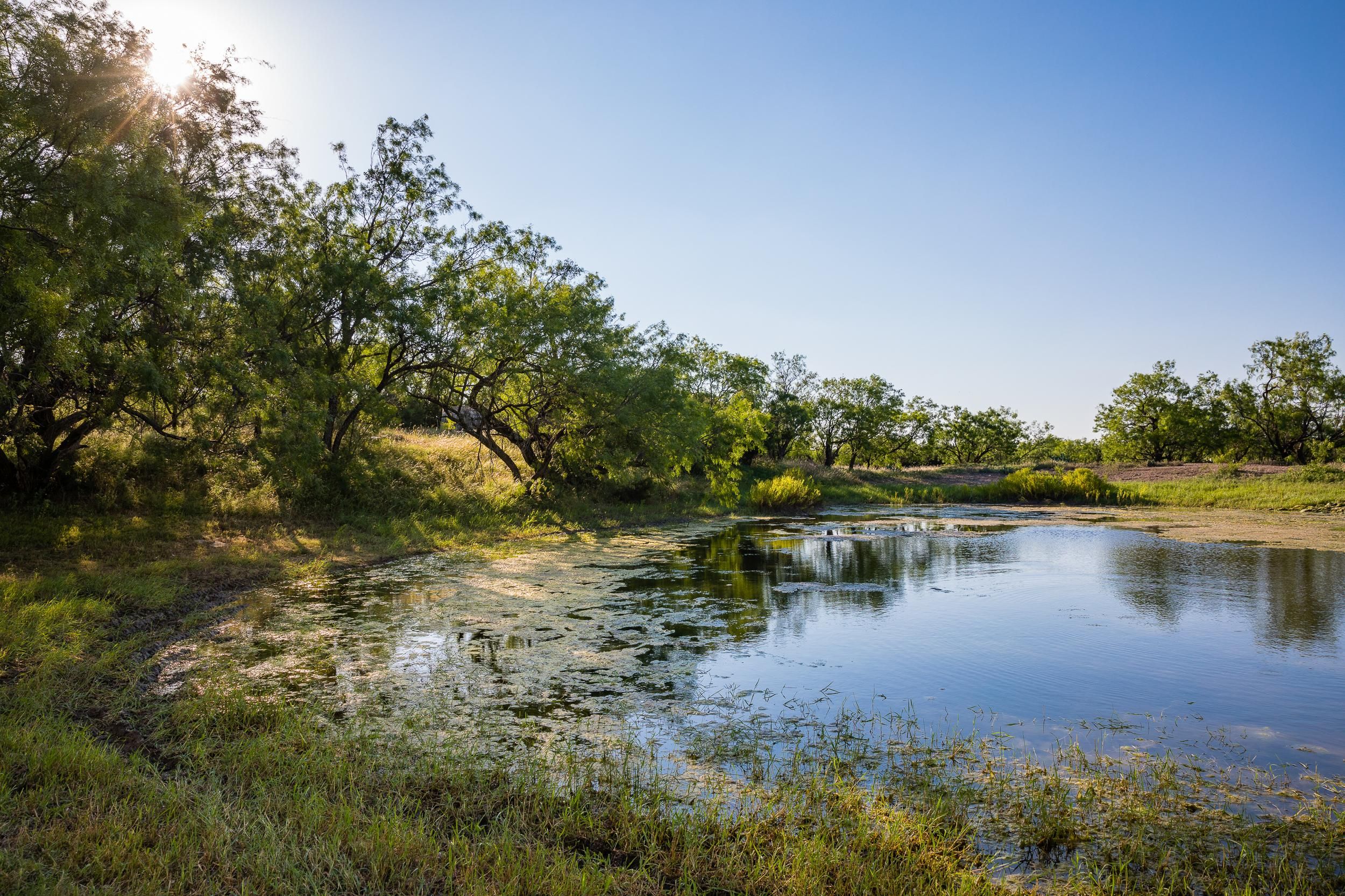 740 acres in Millersview, TX, 76862 | Land and Farm