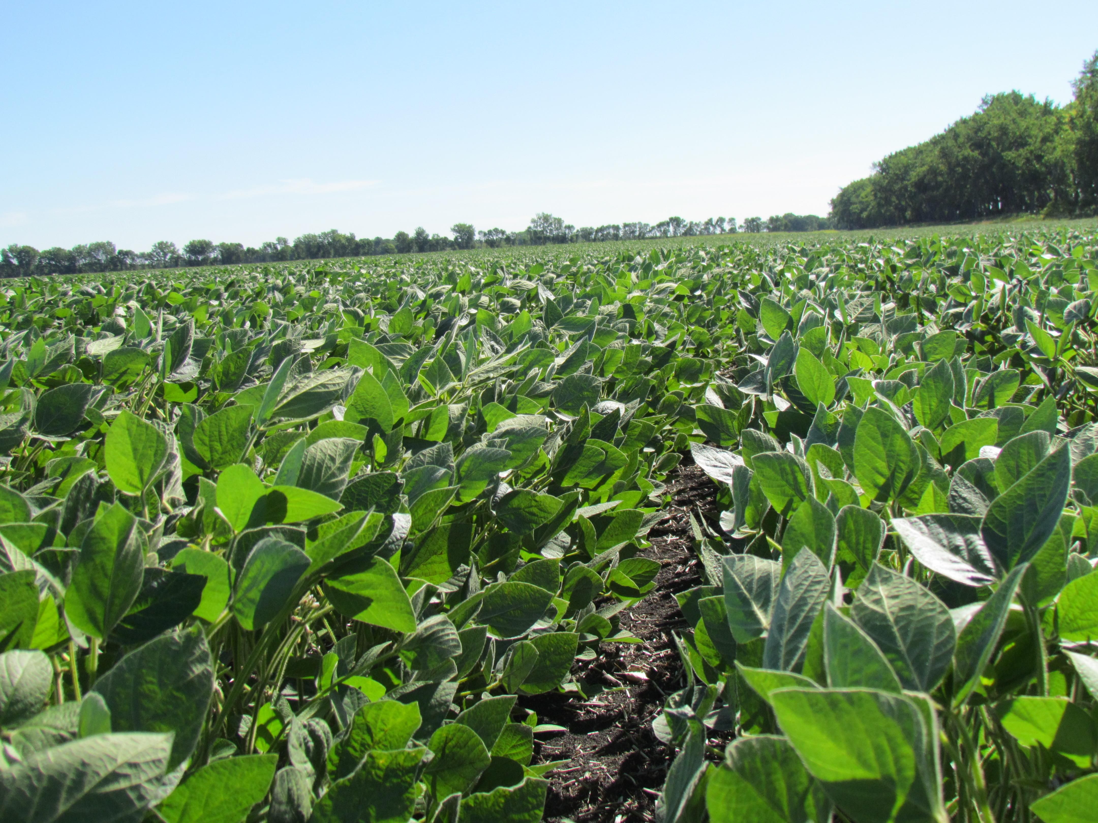 398.5 acres in Warsaw, ND, 58261 | Land and Farm