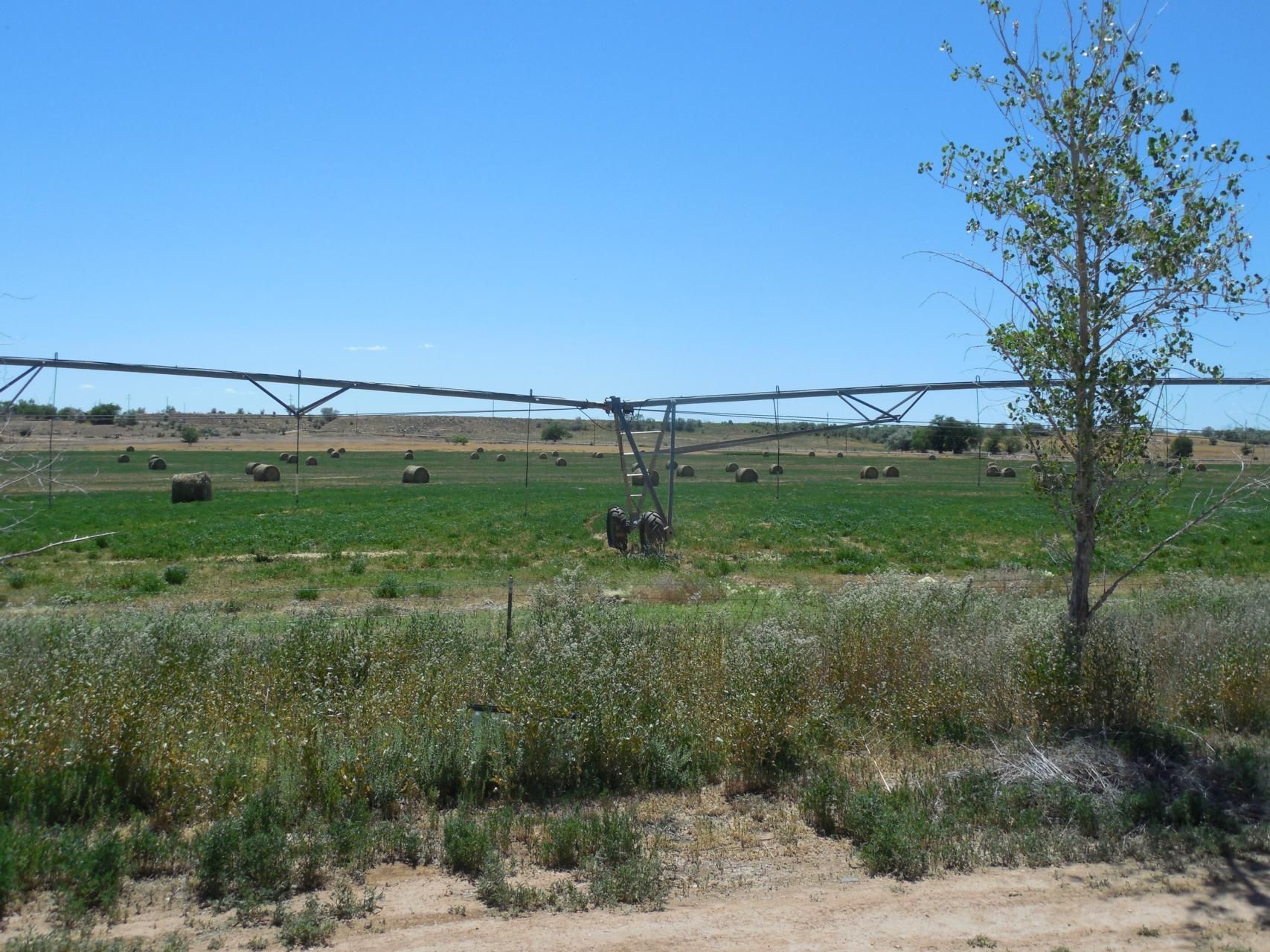 3747 Hwy 88, Randlett, UT 84063 | MLS: 1479823 | Land and Farm