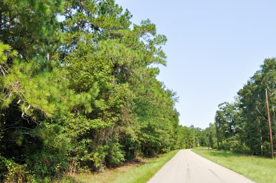 Timber Switch Rd, Conroe, TX 77306 | Land and Farm