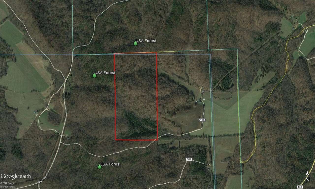 80 Acres, Hwy V CR 364, Ellsinore, MO 63937 | Land and Farm