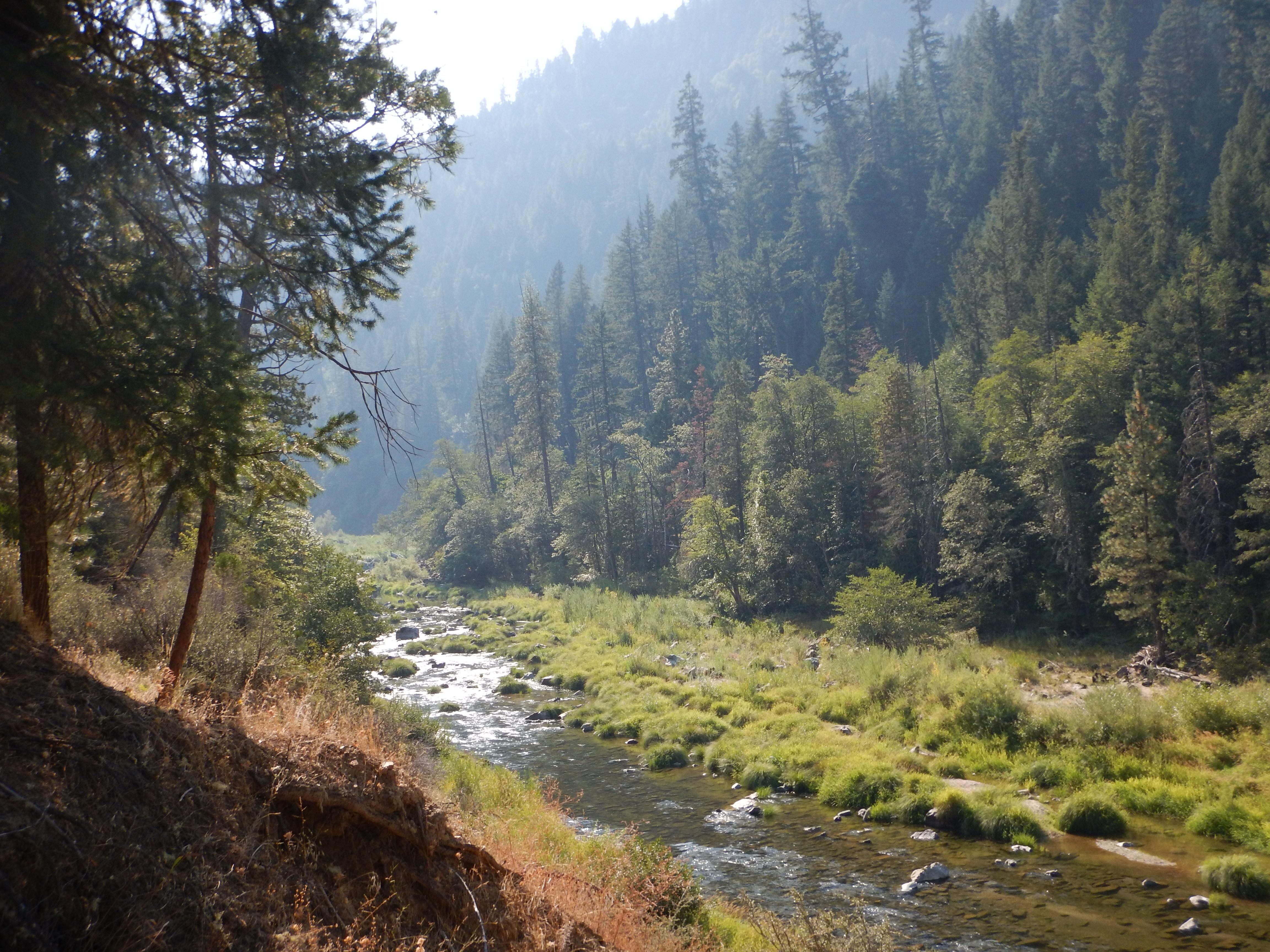 3,683 Acres, Scott River Road, Fort Jones, CA 96032 | Land and Farm