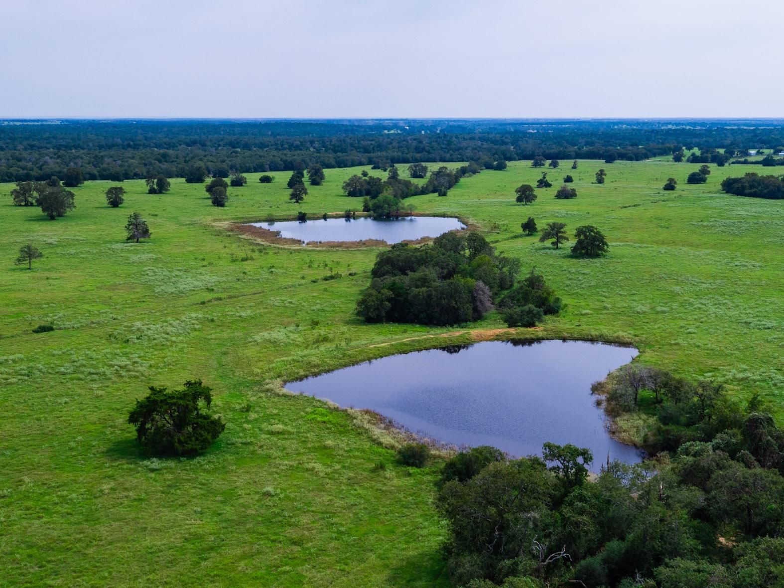 558 acres in Delhi, TX, 78953 | Land and Farm