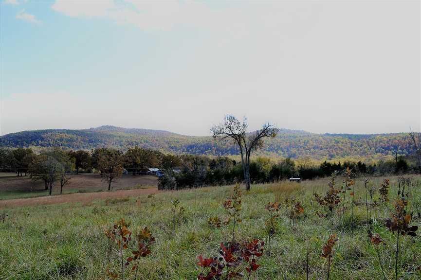 13 acres in Marshall, AR, 72650 | Land and Farm