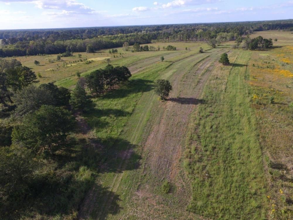 Hayneville Ridge Road, Mathews, AL 36052 | Land and Farm