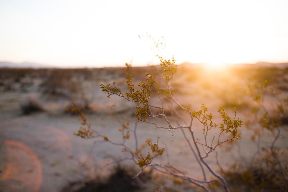 5 acres in Kramer Junction, CA, 93516 | MLS: 0504064460000 | Land and Farm