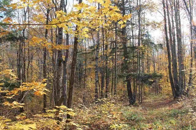 Lot 158 Light Blue Rd, Alston, MI 49952 | Land and Farm