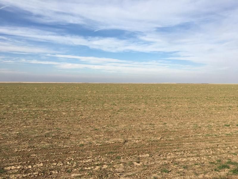 320 acres in Stratford, TX, 79084 | Land and Farm