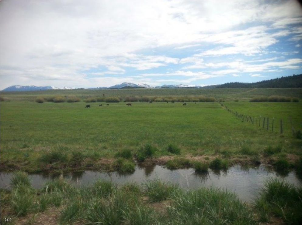 31622 Munn Rd, Unity, OR 97884 | MLS: Unity Oregon Cattle Ranch | Land ...