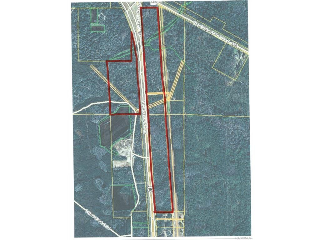 81 Acres, X Hwy 19 N, Inglis, FL 34449 | Land and Farm