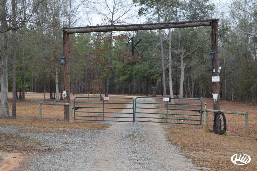 77.28 Acres, 769 Fred Daniels Lane, Jakin, GA 39861 | Land and Farm