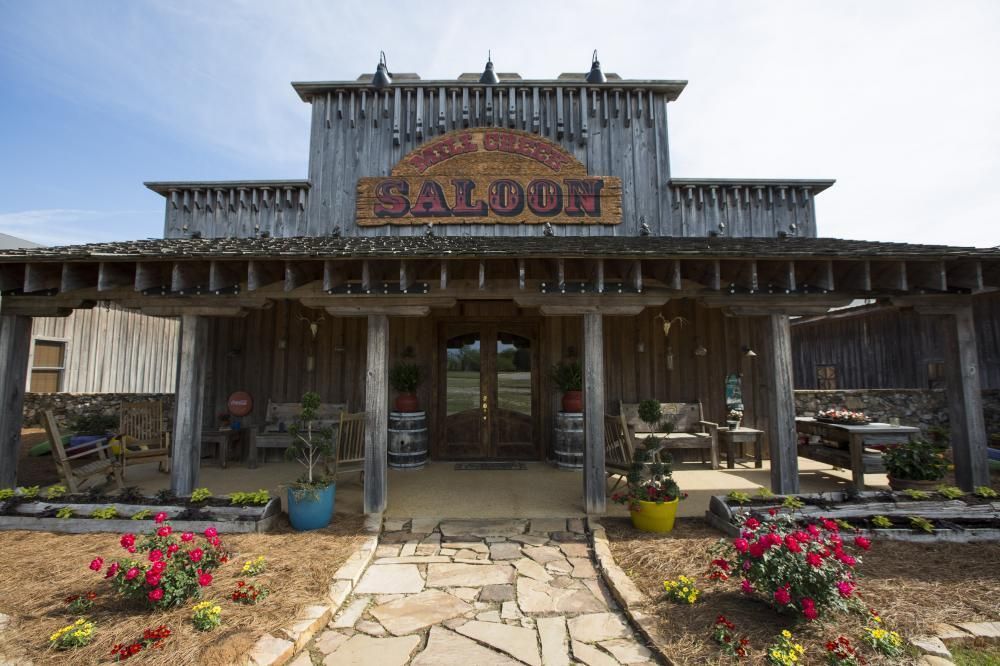 927 County Road 4, Catherine, AL 36728 | Land and Farm