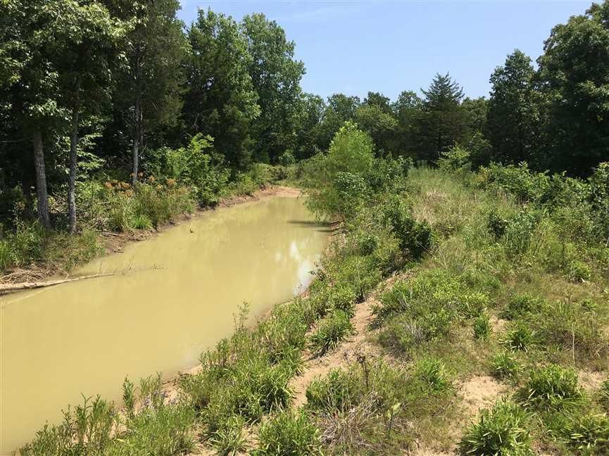 75 Acres, Oil Trough, AR 72571 | Land and Farm