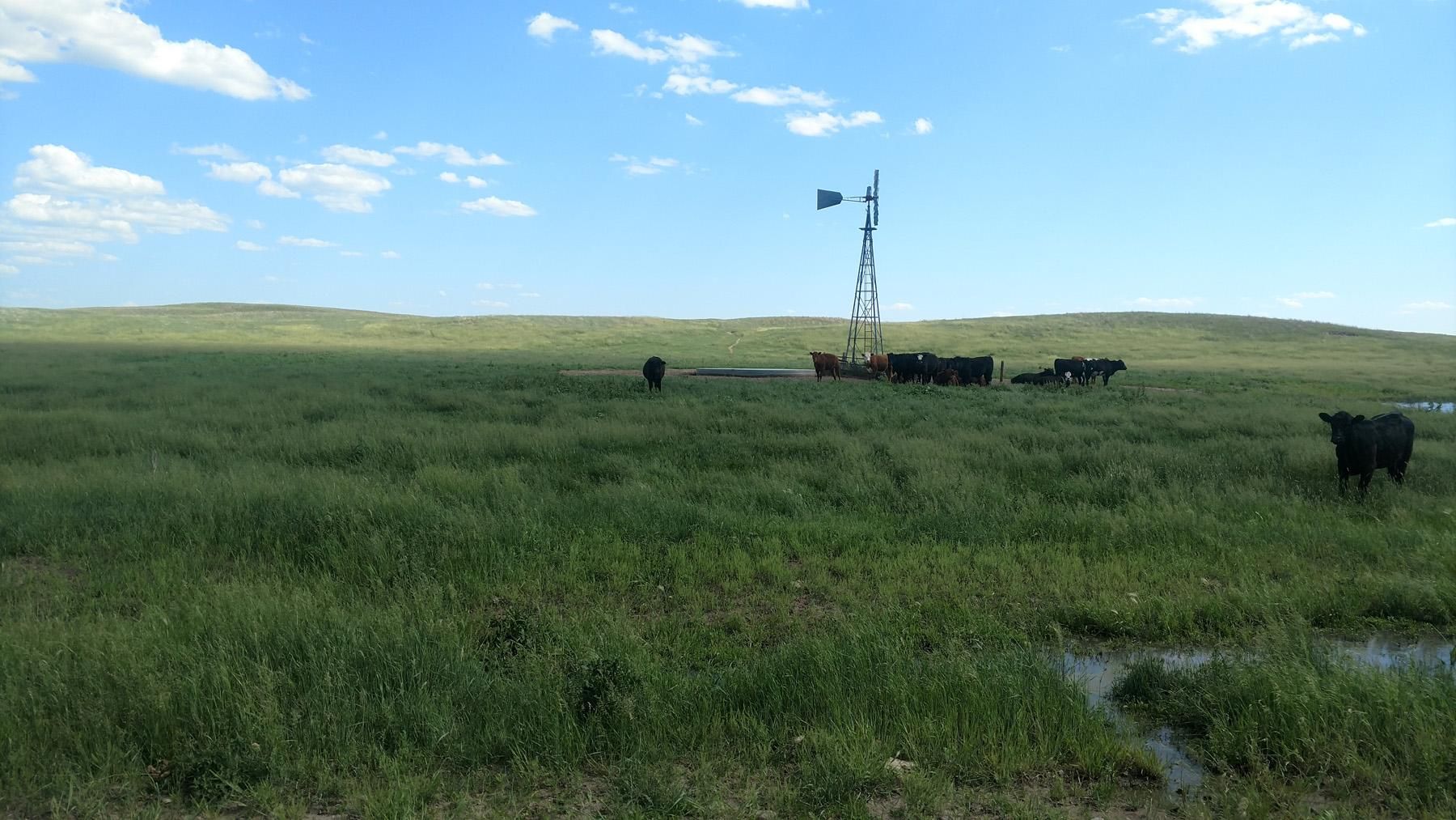 7,297 acres in Dunning, NE, 68833 | MLS: Wild Horse Creek Ranch | Land ...