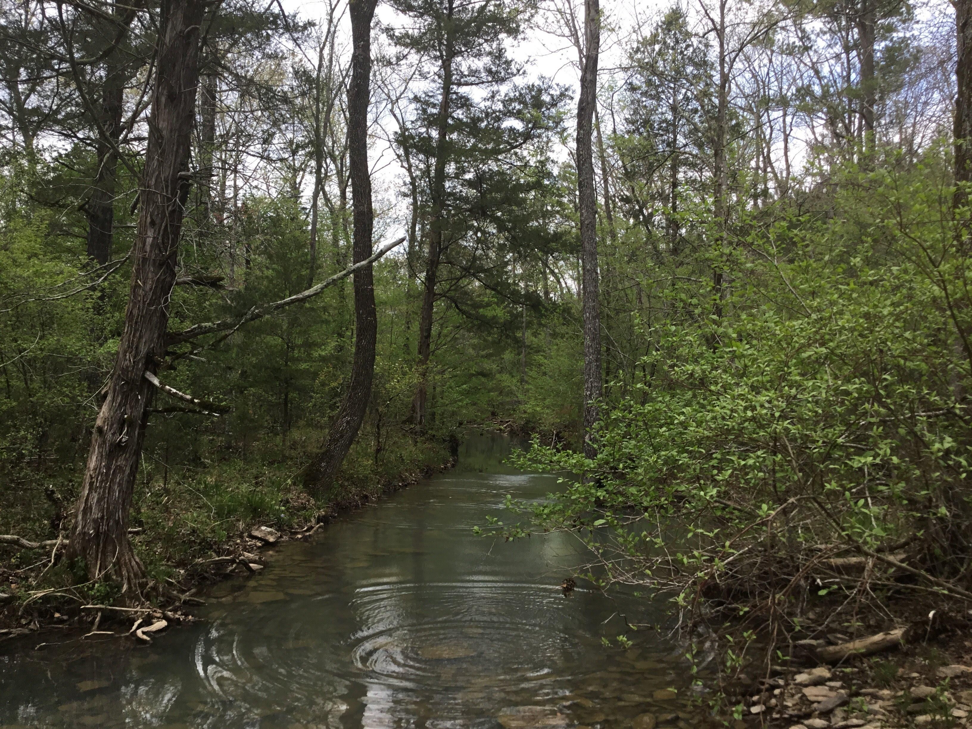 72 acres in Eglantine, AR, 72956 | Land and Farm