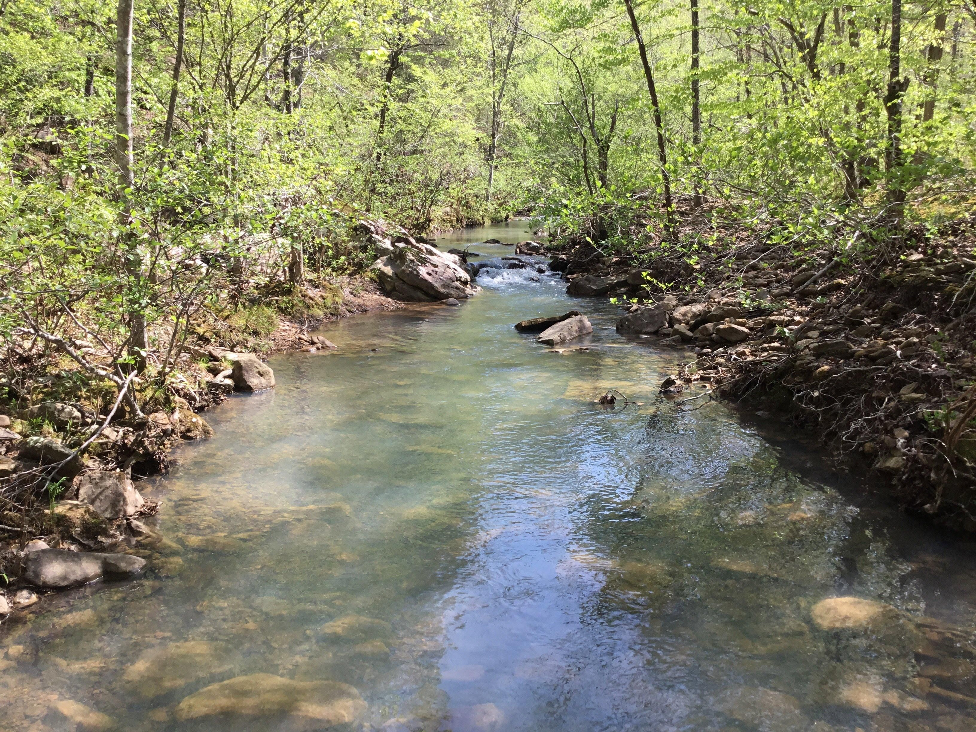 70.7 acres in Wilburn, AR, 72179 | Land and Farm