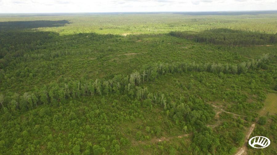 114 Acres, Moulton Road, Lot#WP01, Wing, AL 36483 | Land and Farm