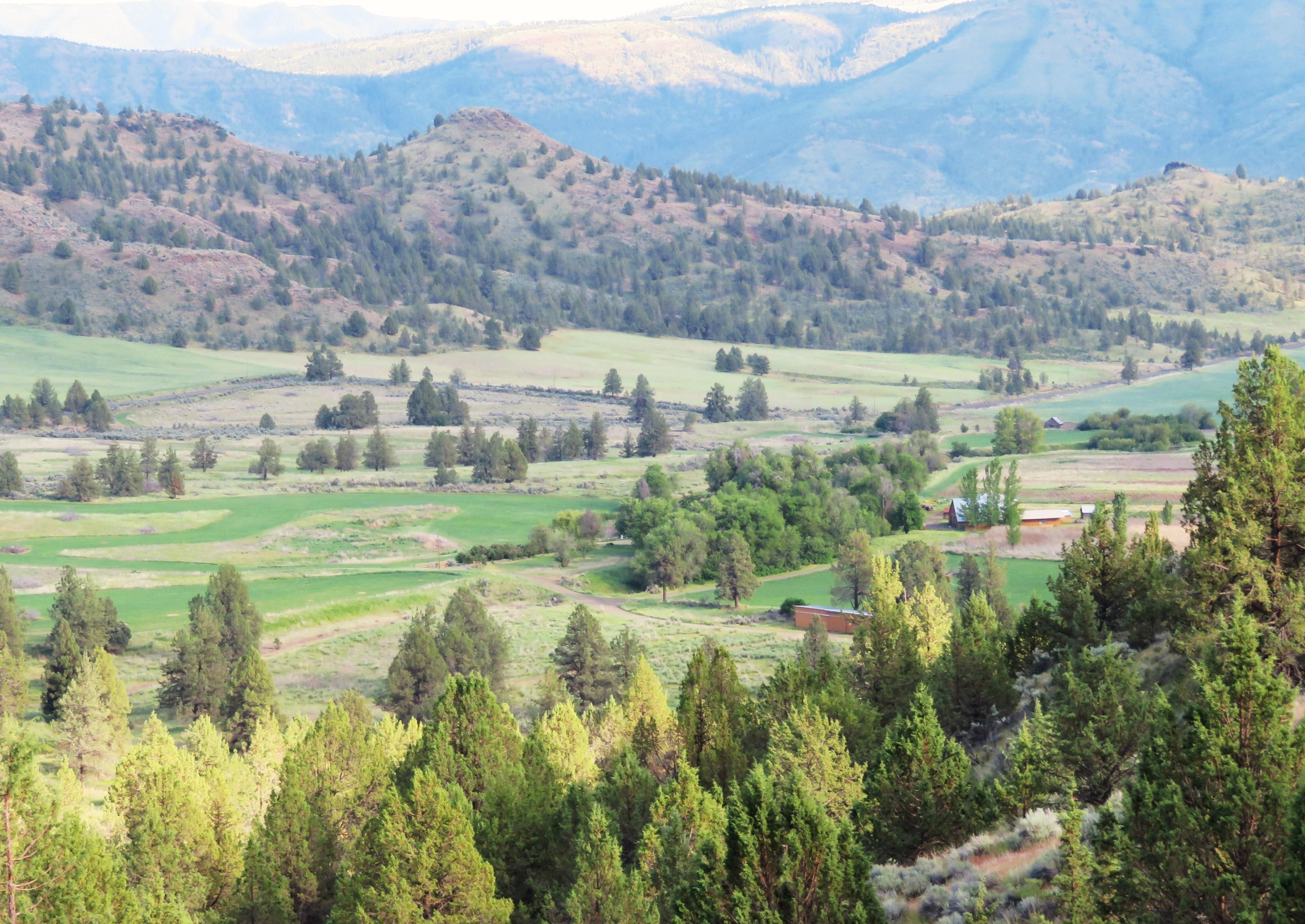 553 acres in Kimberly, OR, 97848 | Land and Farm