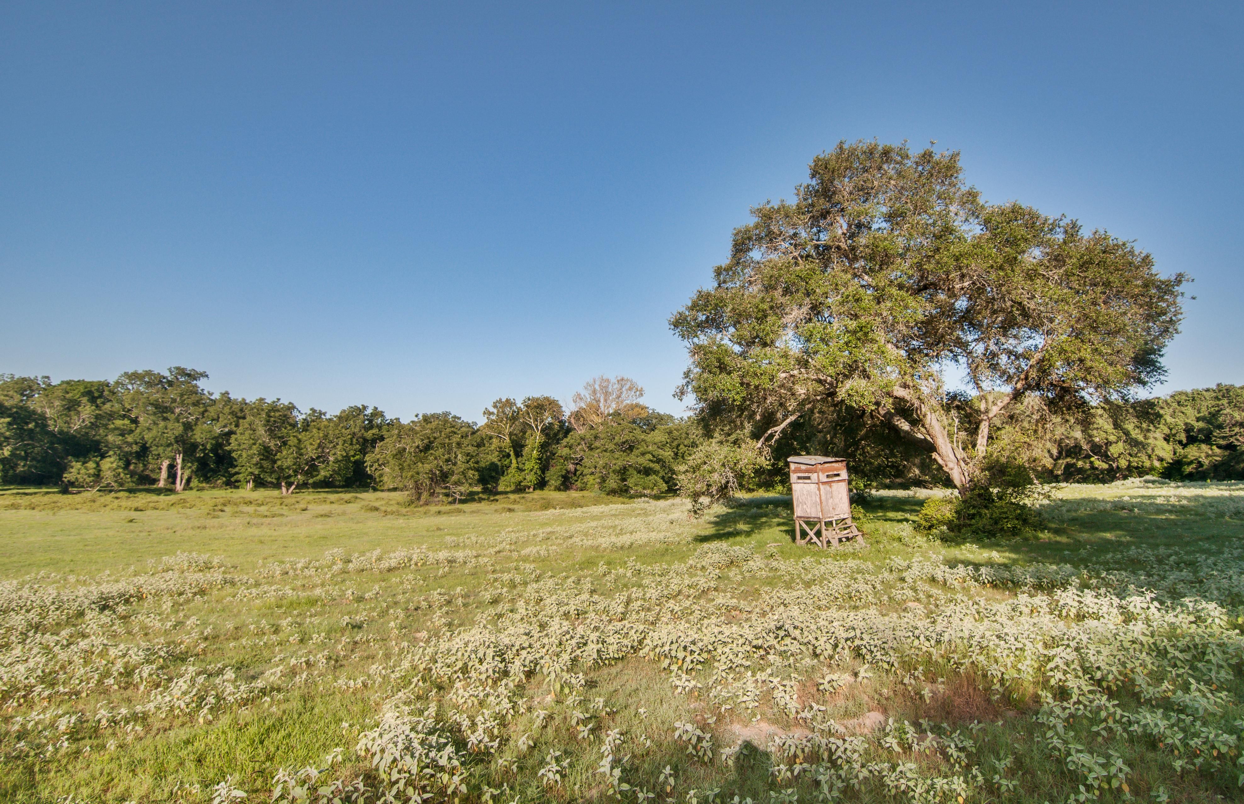 County Road 284, Edna, TX 77957 | MLS: 352515 | Land and Farm
