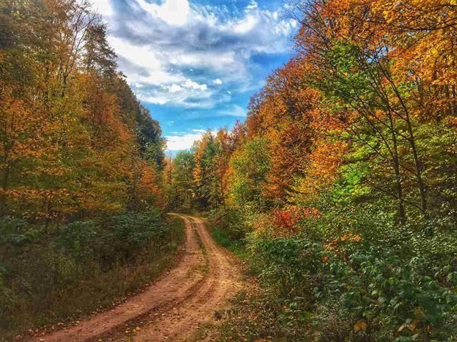 lots 186 and 116 Silver River Reserve (Red Rd), Nisula, MI 49952 | Land ...